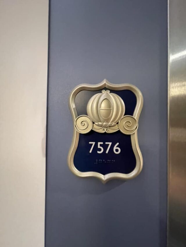 Disney Cruise Fish Extenders: Everything You Need Too Know